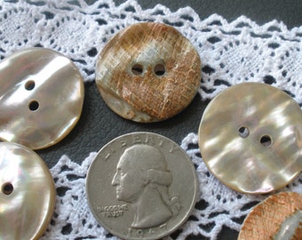 Abalone Shell Buttons | Etsy