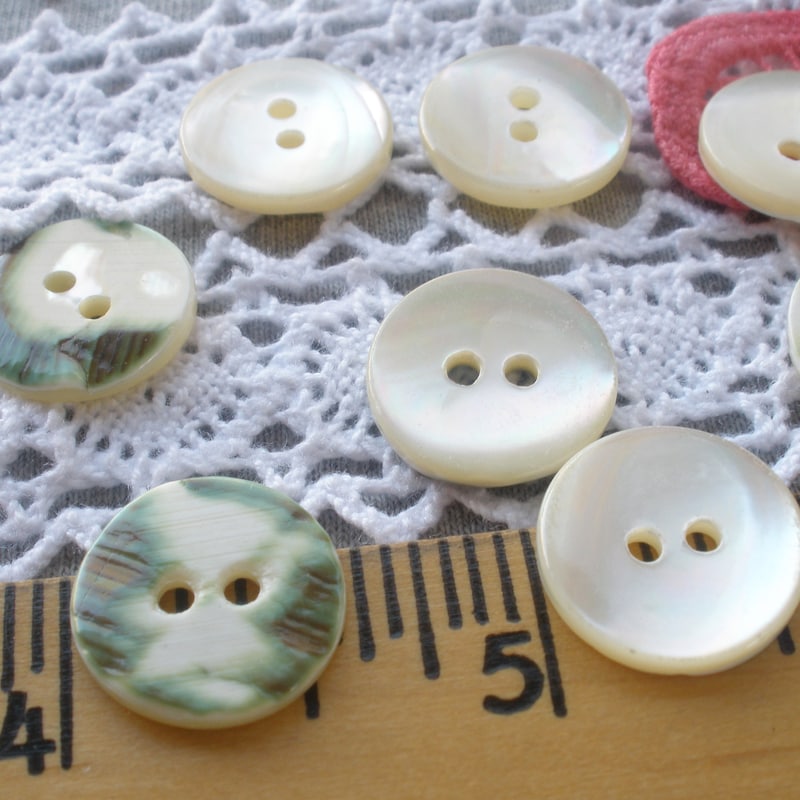 Trochus Shell - Etsy