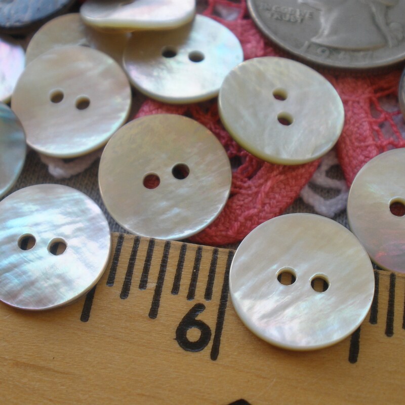1/4 in Shell Buttons - Etsy