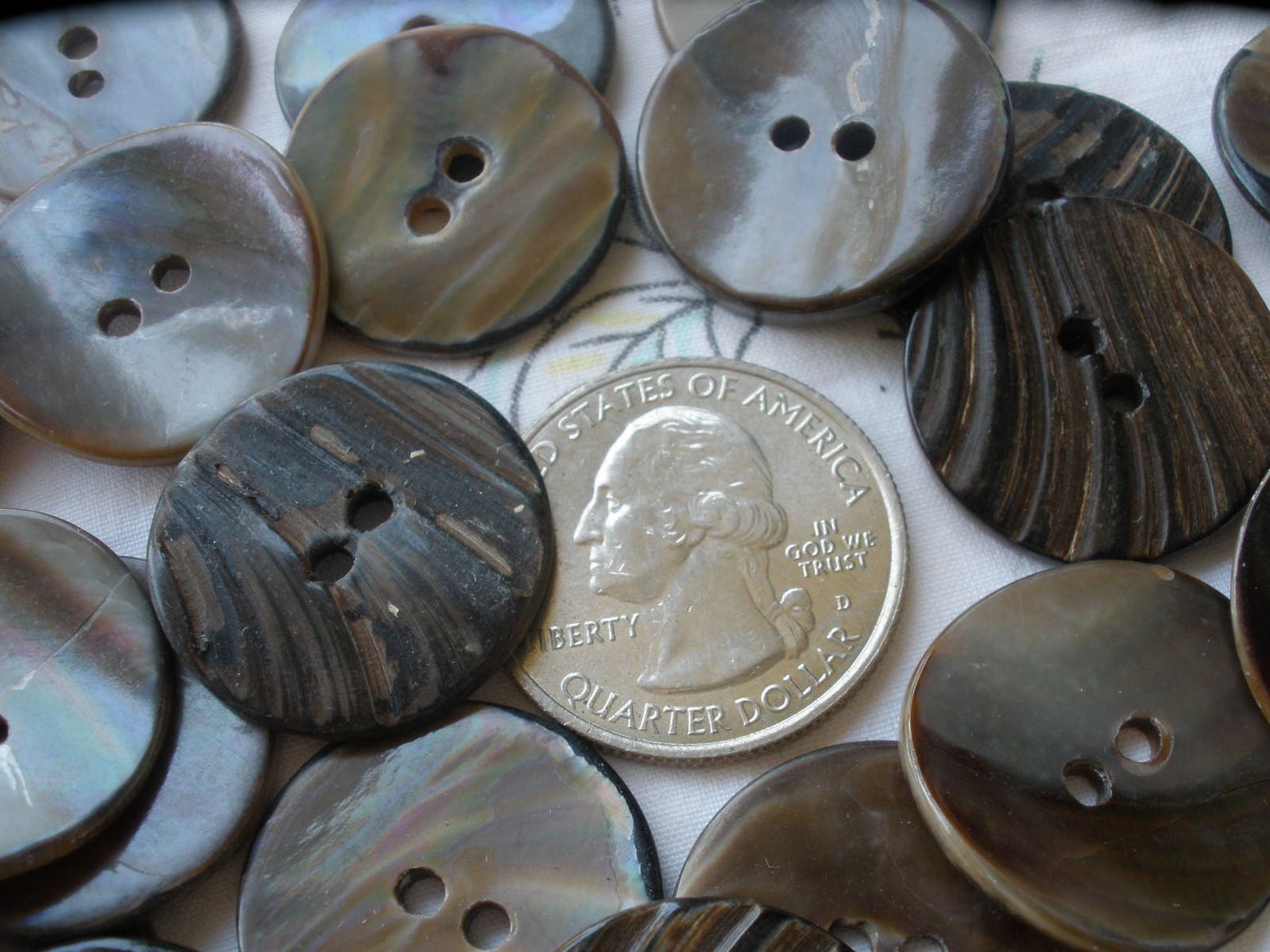 Brown Mussel Shell MOP Buttons 7/8 Curved Iridescent - Etsy