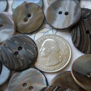 Brown Mussel Shell MOP Buttons 7/8 Curved Iridescent Natural Size 36L ...