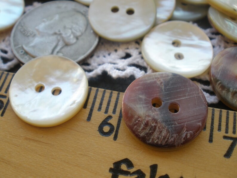 Thick Polished Real Shell Buttons Flat Back Natural Pearly 17.5mm 11/16 ...