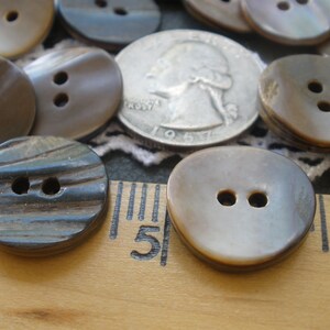 Brown Mussel Shell MOP Buttons 11/16" Curved Iridescent Natural Size ...