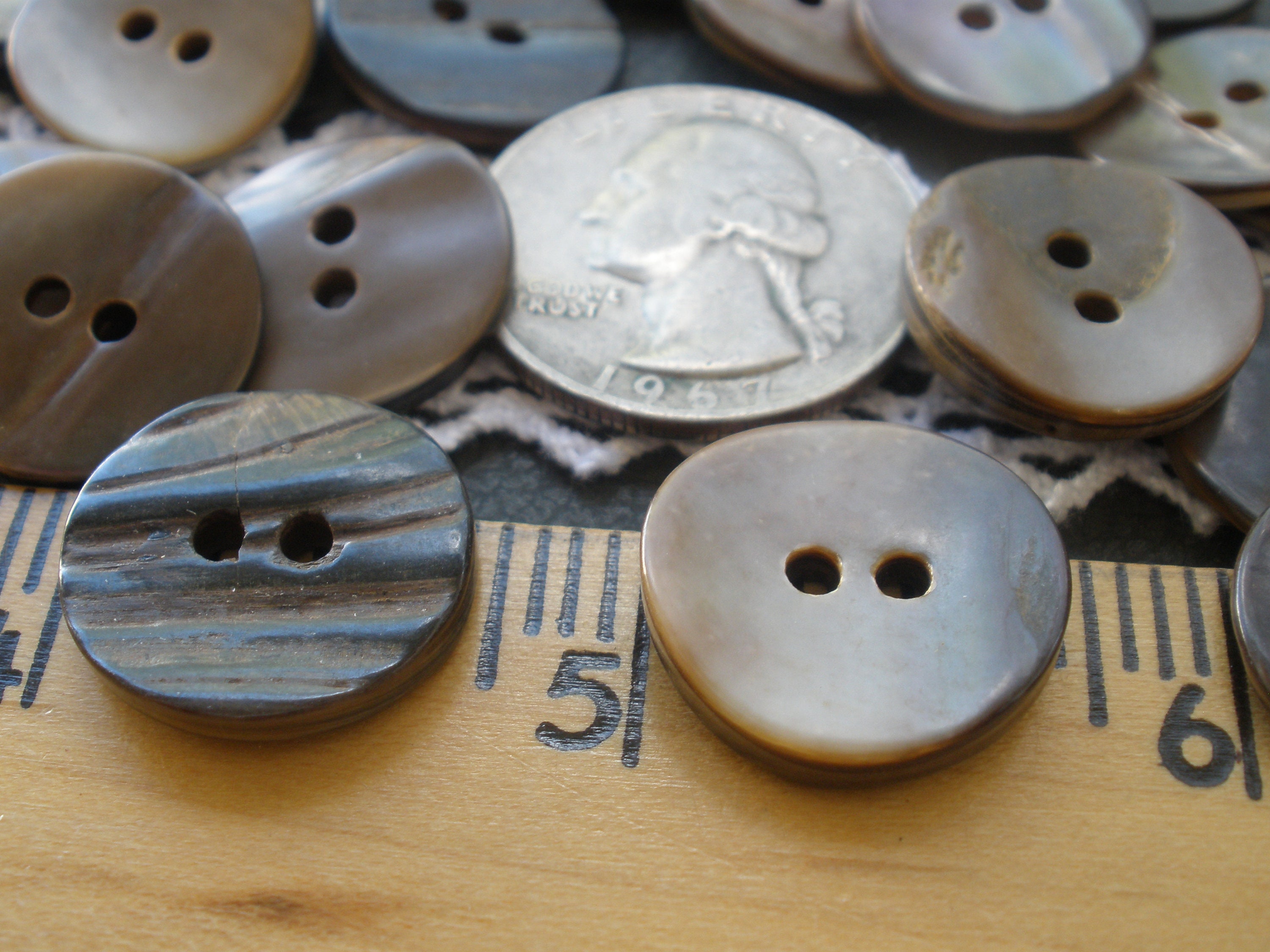 Brown Mussel Shell MOP Buttons 11/16 Curved Iridescent - Etsy 日本