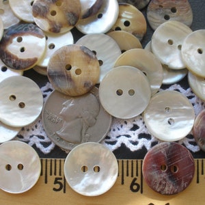 Thick Polished Real Shell Buttons Flat Back Natural Pearly 17.5mm 11/16 ...