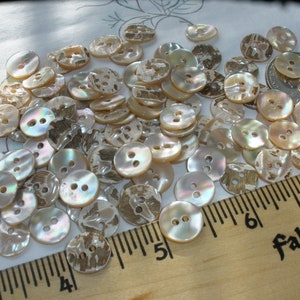 Champagne Beige Real Shell Buttons 7/16" 18L MOP Natural 11MM Sewing 2 ...
