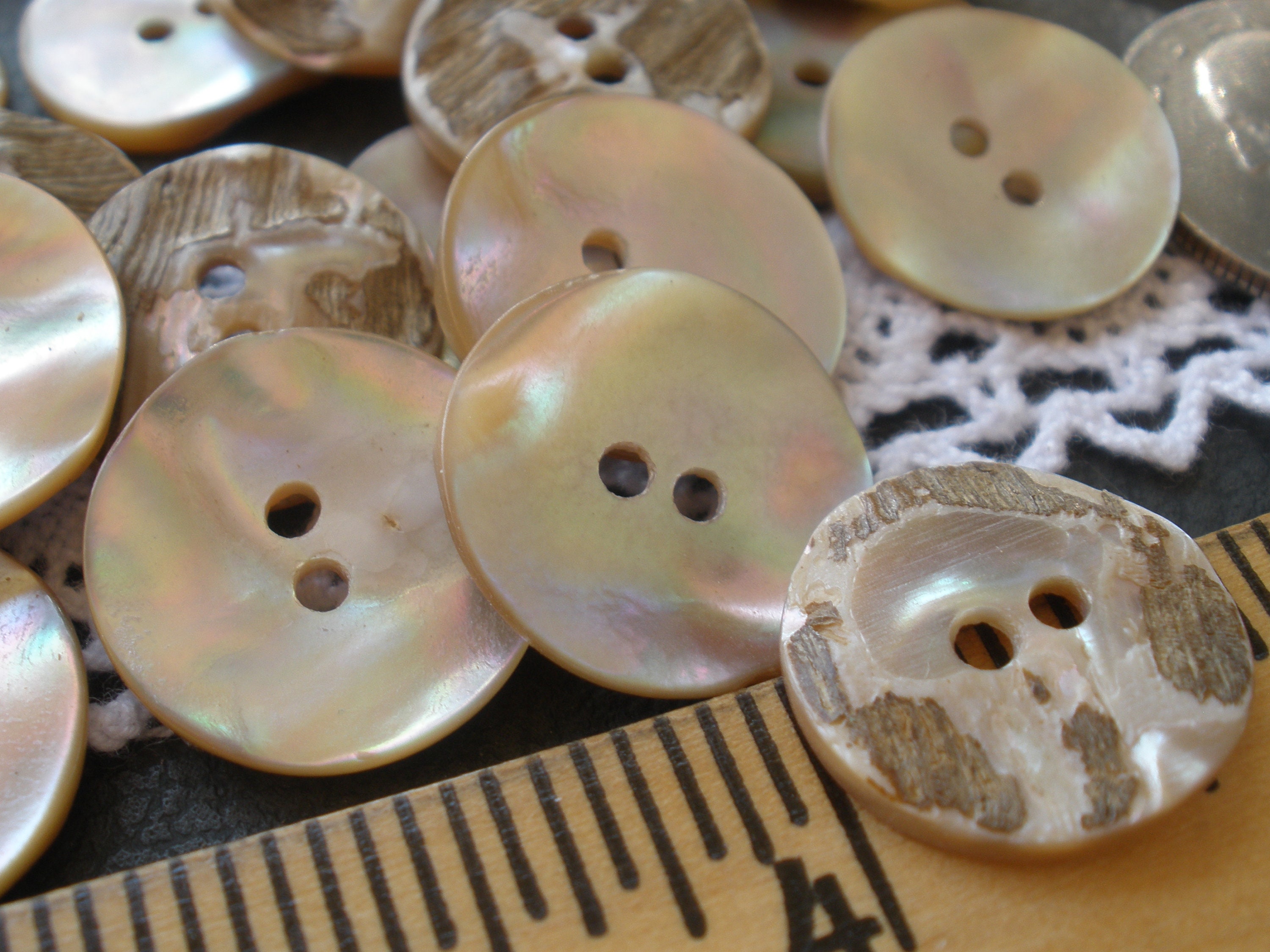5 Gross Champagne Lustre Real Wavy Shell Buttons 11/16 | Etsy
