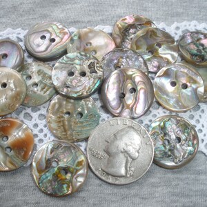 20MM Abalone Shell Buttons Natural 13/16" 32L Pearly Rainbow MOP Sewing ...