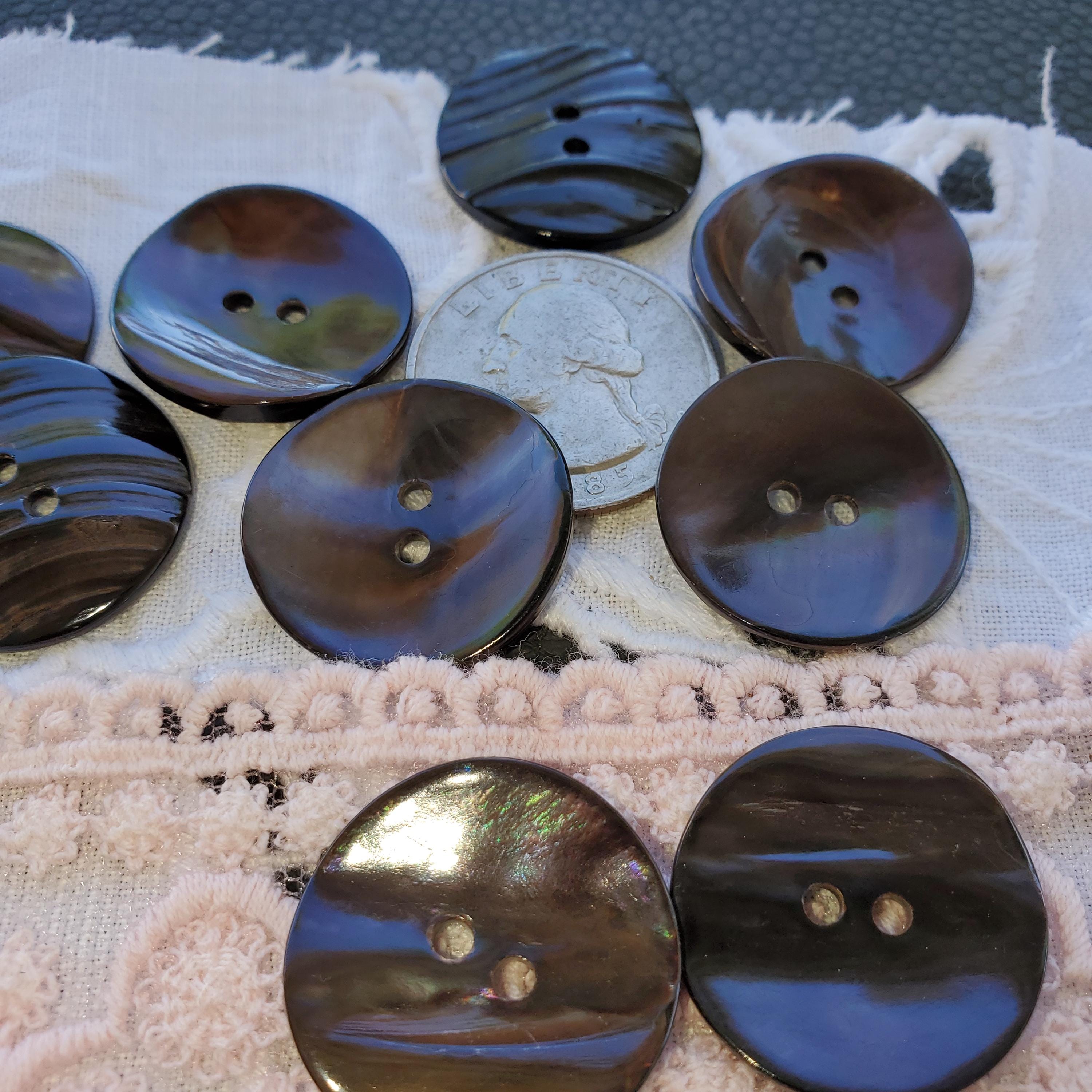 Brown Mussel Shell MOP Buttons 7/8" Curved Iridescent Natural Size 36L ...