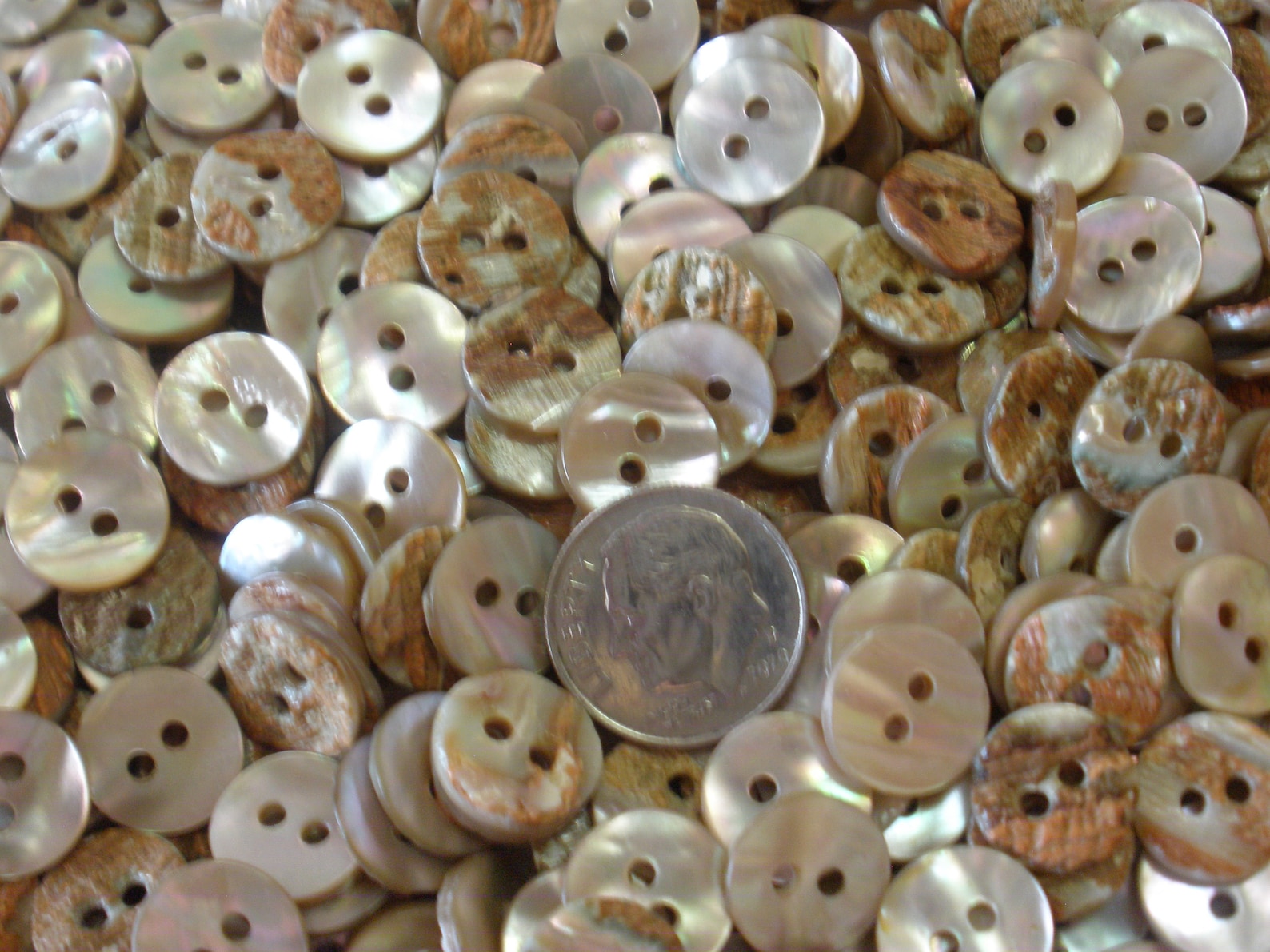 11MM Red Abalone Shell Buttons Natural 7/16" 18L Pearly Rose Rainbow ...