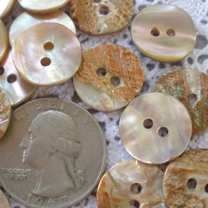 15MM Abalone Shell Buttons Natural 5/8" 24L Pearly Rose Rainbow MOP ...