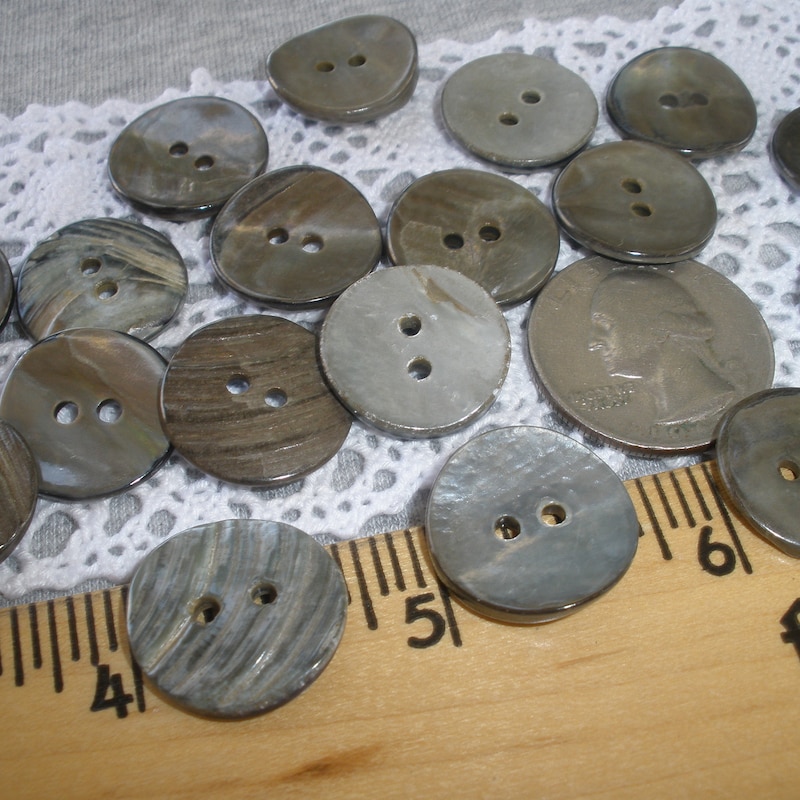 Mussel Shells - Etsy