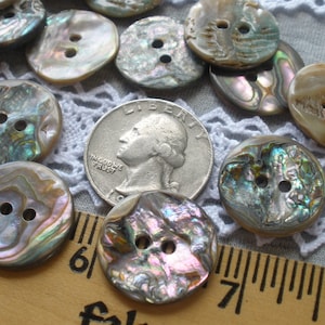 20MM Abalone Shell Buttons Natural 13/16" 32L Pearly Rainbow MOP Sewing ...