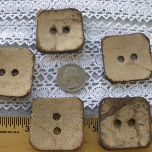 Extra Large 2 Inch Square Coconut Shell Buttons 2 Hole Sew on 50MM 80L ...