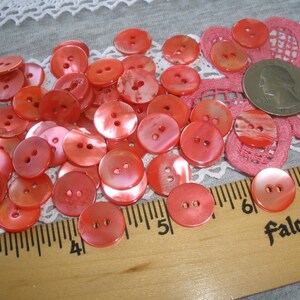 14MM Bright Pink Trocas Shell Buttons 22L 9/16" MOP Sewing 2 Hole Sew ...