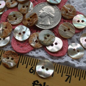 13MM Red Abalone Shell Buttons Natural 1/2" 20L Pearly Rose Rainbow MOP ...