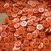 Burnt Orange Buttons Craft Stash Shirt 1/2" (13MM 20L) Pearlized ...