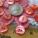 14MM Bright Pink Trocas Shell Buttons 22L 9/16" MOP Sewing 2 Hole Sew ...