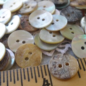 1 Gross 14MM Real Shell Buttons Natural MOP 22L 9/16" Pearly White ...