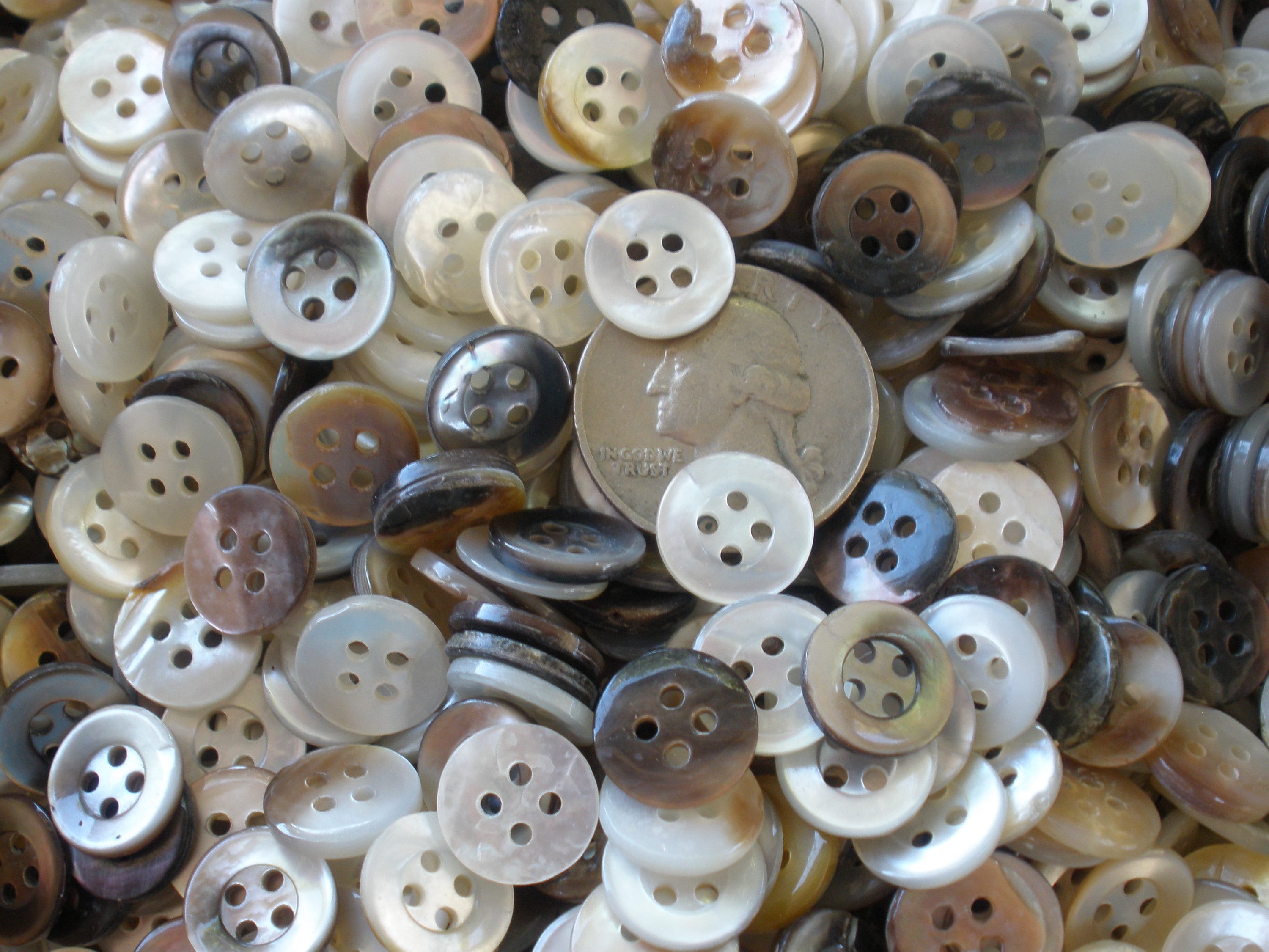 Buttons & Closures Vintage Real Shell Shirt Buttons 12MM 19L bright ...