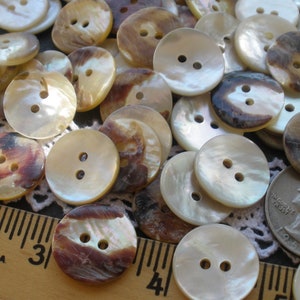 Thick Polished Real Shell Buttons Flat Back Natural Pearly 17.5mm 11/16 ...