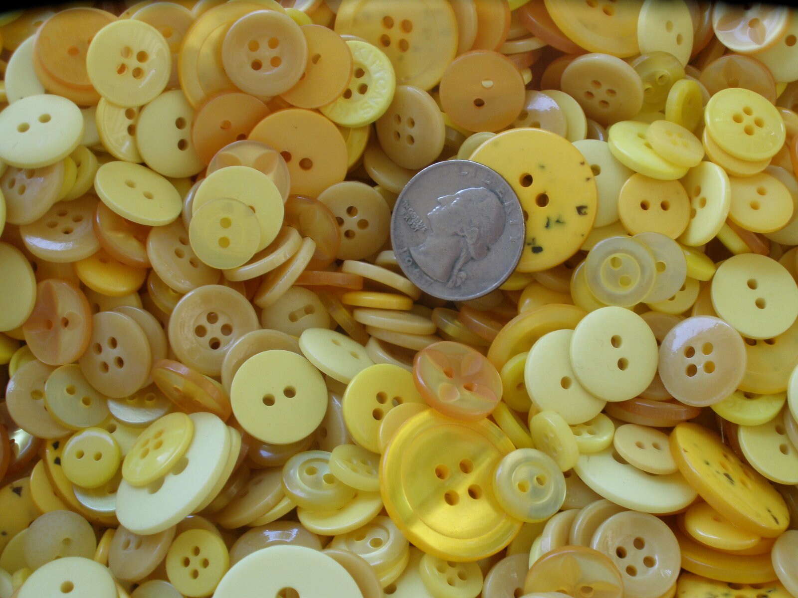 Yellow Buttons Mix Sunshine to School Bus Shades Sew on Plastic 10mm to ...