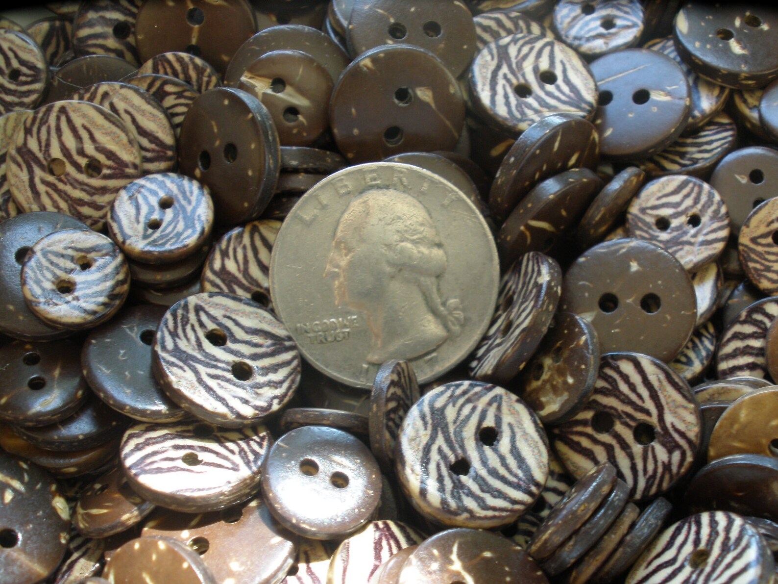 Animal Print Coconut Shell Buttons 2 Hole Sew on 11MM 15MM or 22MM Knit ...
