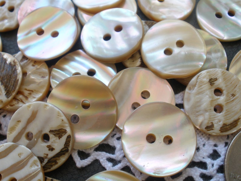 Champagne Lustre Real Shell Buttons 11/16 28L MOP - Etsy
