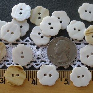 Flower Shape MOP Buttons Classic 17MM Polished White Real Shell 28L 11/ ...