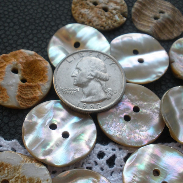 Abalone Buttons - Etsy