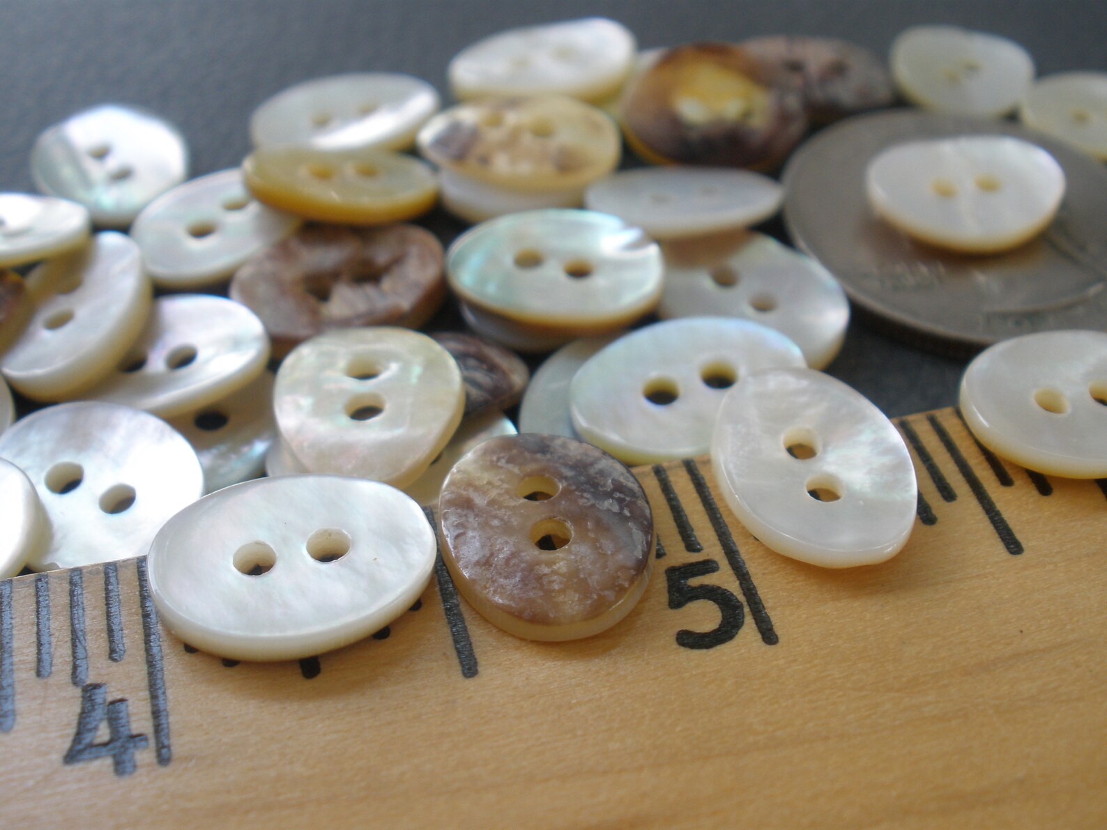 24 Oval Shape Real MOP Shell Buttons Natural 3 Sizes 20L 24L - Etsy