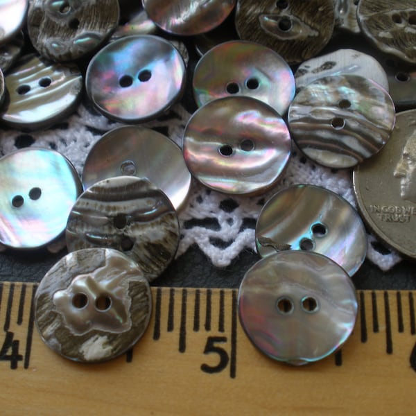 Abalone Buttons - Etsy