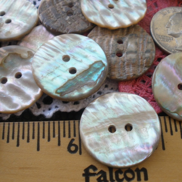 Abalone Buttons - Etsy