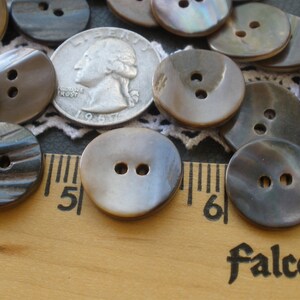Brown Mussel Shell MOP Buttons 11/16" Curved Iridescent Natural Size ...