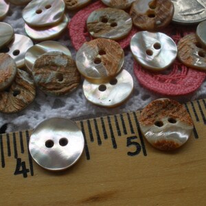 13MM Red Abalone Shell Buttons Natural 1/2" 20L Pearly Rose Rainbow MOP ...