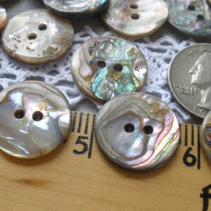 20MM Abalone Shell Buttons Natural 13/16" 32L Pearly Rainbow MOP Sewing ...