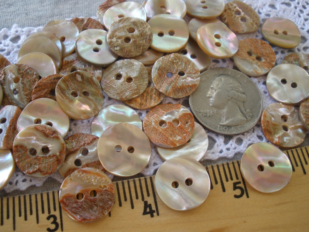 15MM Abalone Shell Buttons Natural 5/8" 24L Pearly Rose Rainbow MOP ...