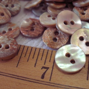 11MM Red Abalone Shell Buttons Natural 7/16" 18L Pearly Rose Rainbow ...