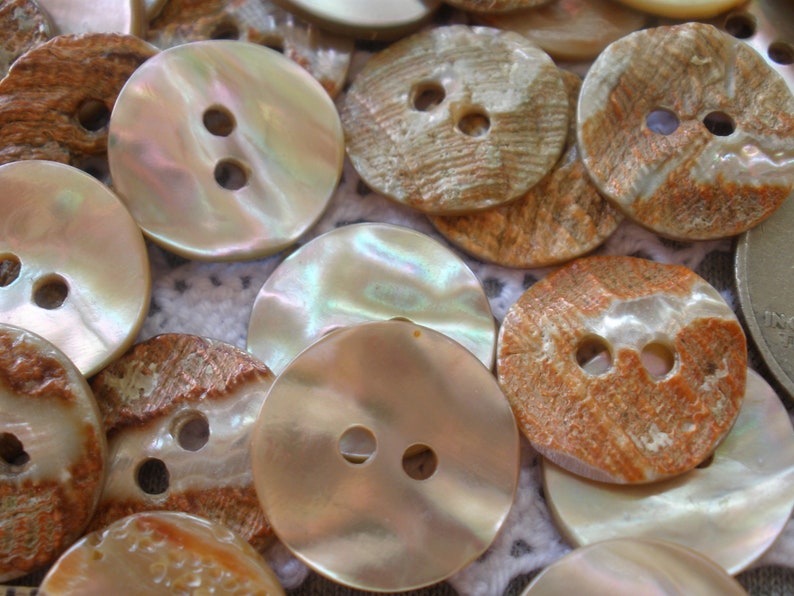 15MM Abalone Shell Buttons Natural 5/8 24L Pearly Rose | Etsy
