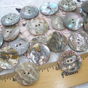 28MM Abalone Shell Buttons Natural 1 1/8 Inch 45L Pearly Rainbow MOP ...
