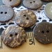 Dark Brown Flat Coconut Shell Buttons 20MM 32L 13/16" Embellish Knit ...