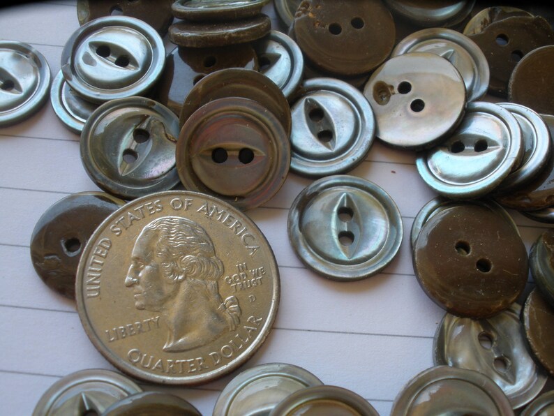 Vintage Carved Real River Shell Buttons Cat's Eye Gray - Etsy
