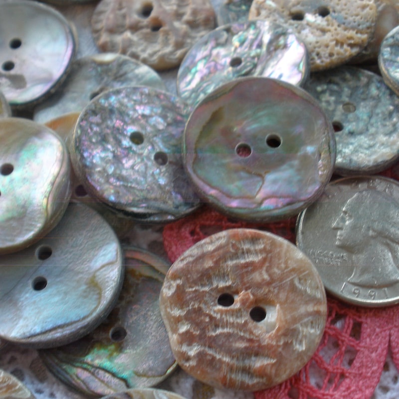 Abalone Buttons - Etsy