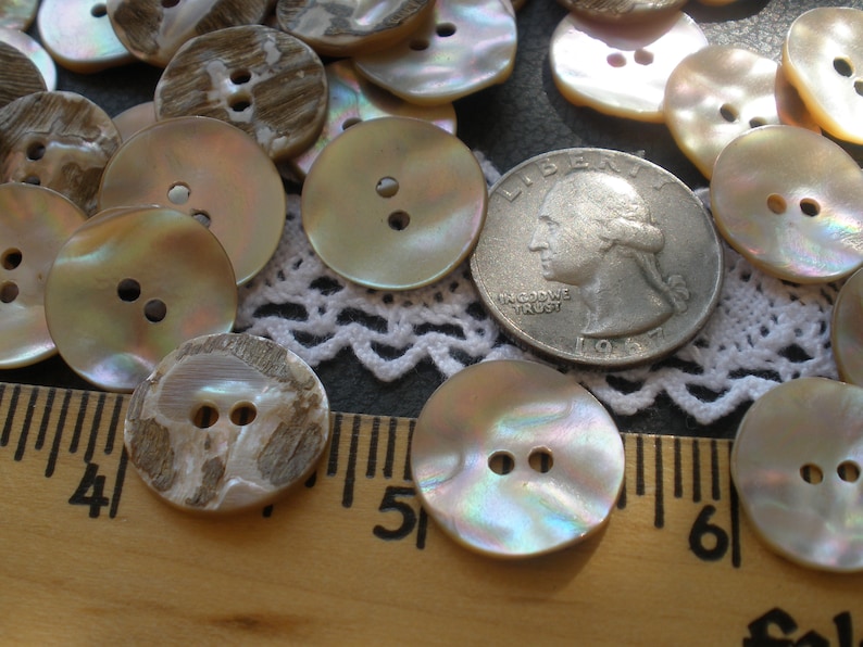 5 Gross Champagne Lustre Real Wavy Shell Buttons 11/16 | Etsy