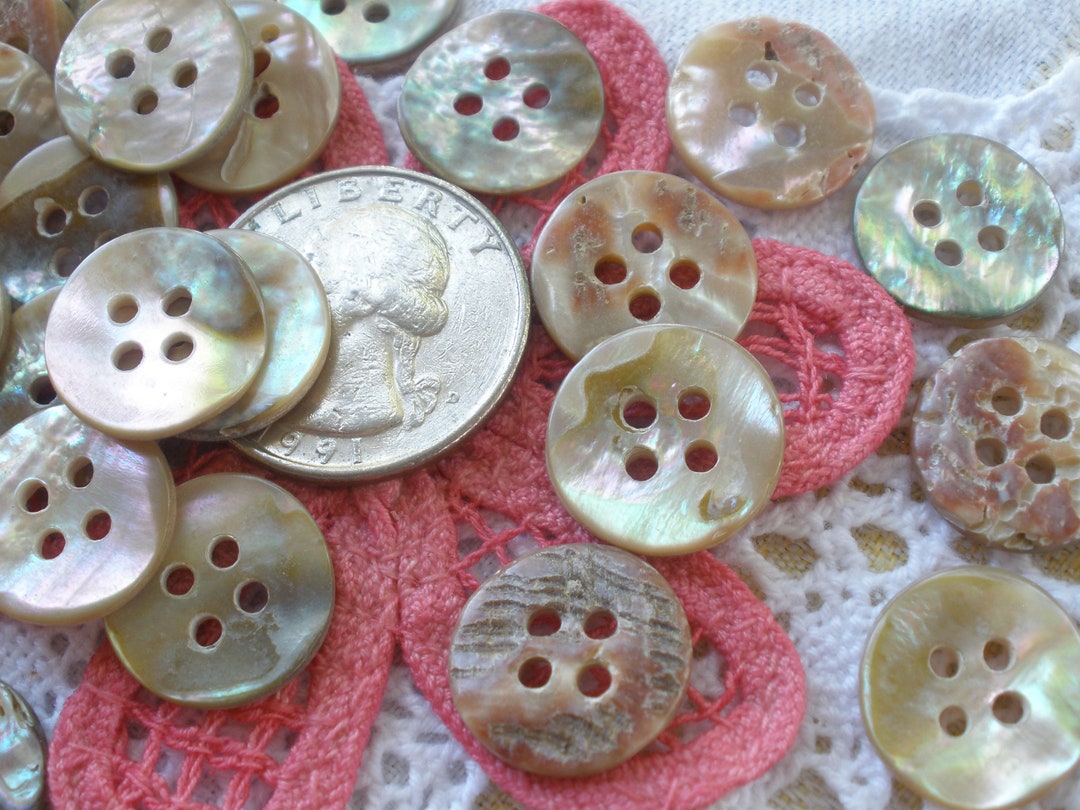 15MM Red Abalone Shell Buttons Natural 5/8" 24L Pearly Rose Rainbow MOP ...