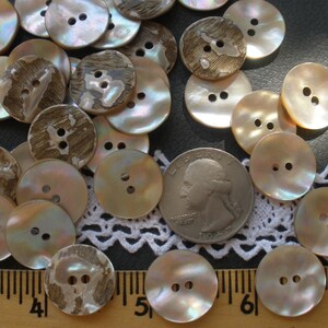 5 Gross Champagne Lustre Real Wavy Shell Buttons 11/16 28L MOP Natural ...