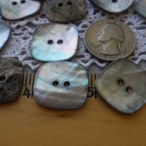 Square Smoke MOP Shell Buttons 20mm by 25mm 40L 1 Inch Agoya 2 Hole Sew ...