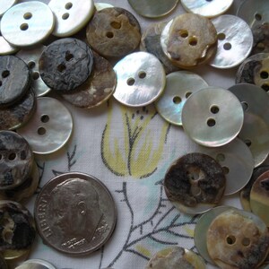 Bulk MOP Shell Buttons Natural 13mm 20L 1/2 Pearly White Agoya 2 Hole ...