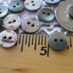 10MM Thick Gray Smoke Trocas Shell Buttons 16L 3/8" Tiny MOP Sewing 2 ...