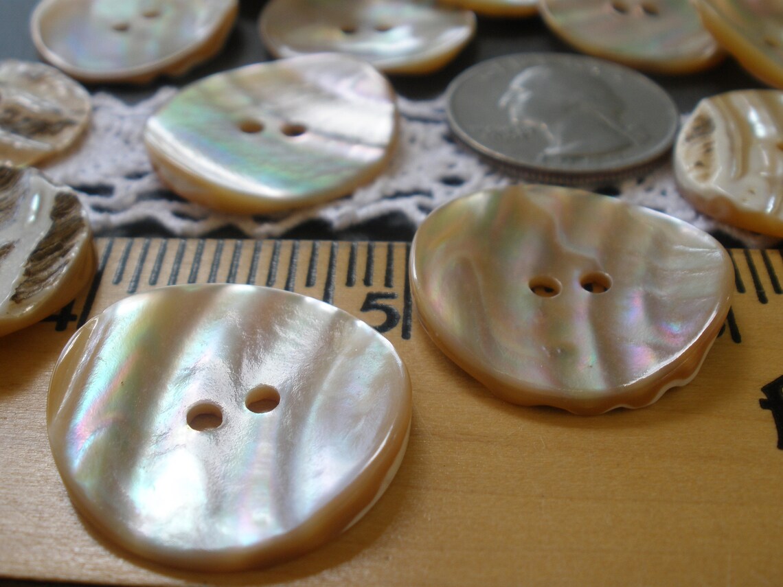 25MM Champagne Lustre Real Shell Buttons 1 Inch 40L MOP | Etsy